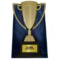 Beker trofee Gold Cup 30 jaar en goud waard