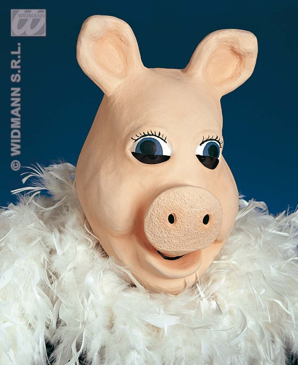 Masker varken Voordelig en ruime keus