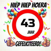 Verjaardags tegeltje 43 jaar Goedkope Feestwinkel