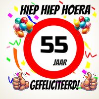 Verjaardags tegeltje 55 jaar Goedkope Feestwinkel