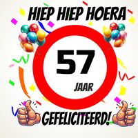 Verjaardags tegeltje 57 jaar Goedkope Feestwinkel