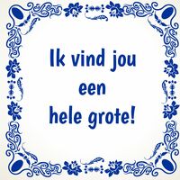 Tegeltje Ik vind jou een hele grote! Goedkoop